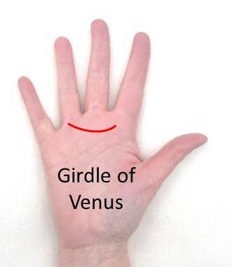 Palquímica | Significados | Traços e Características | Linhas ...