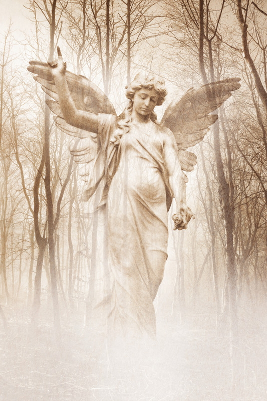 Angel Room – Psychic Library